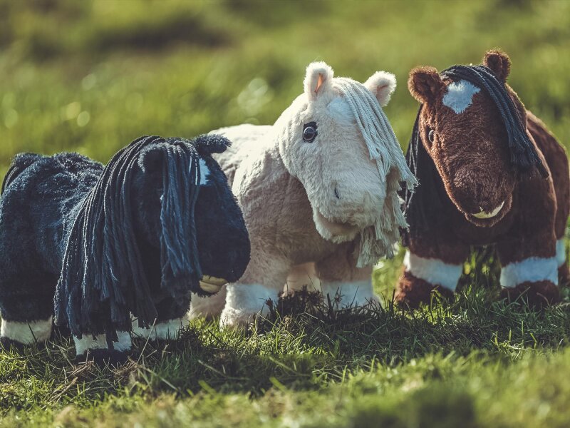 Cuddle Ponys